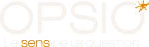 L'équipe - Opsio