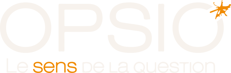L'équipe - Opsio